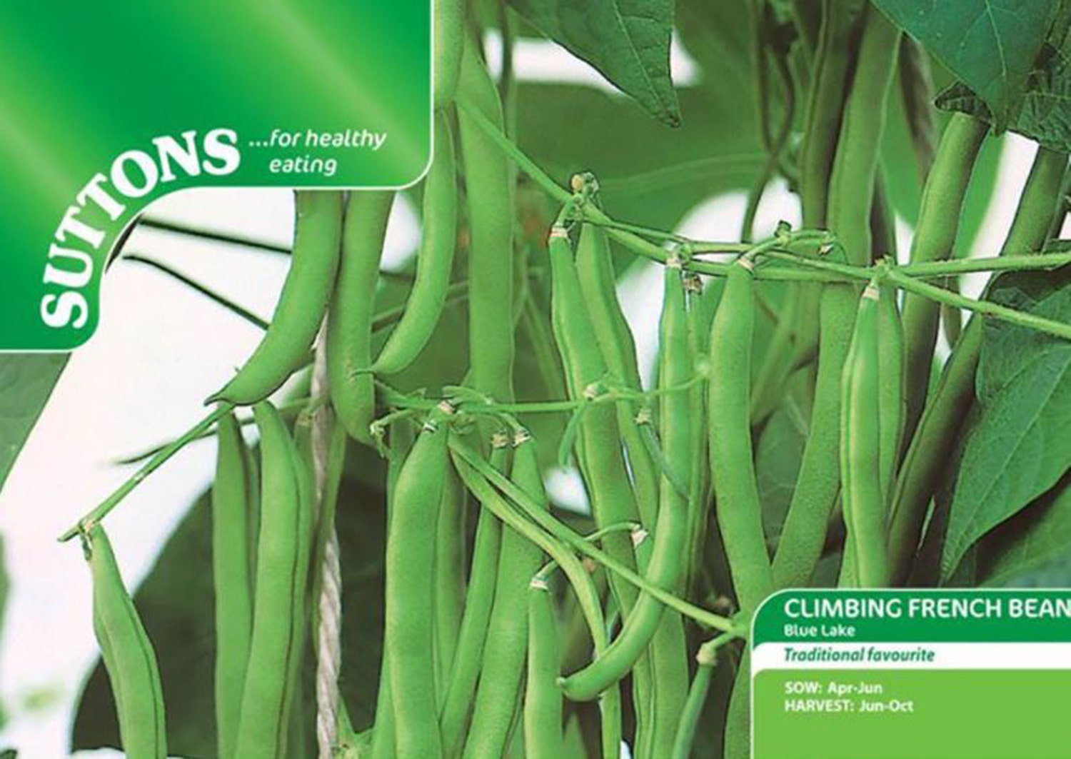 Suttons Blue Lake Climbing French Bean Seeds - www.farmandranchexperts.com