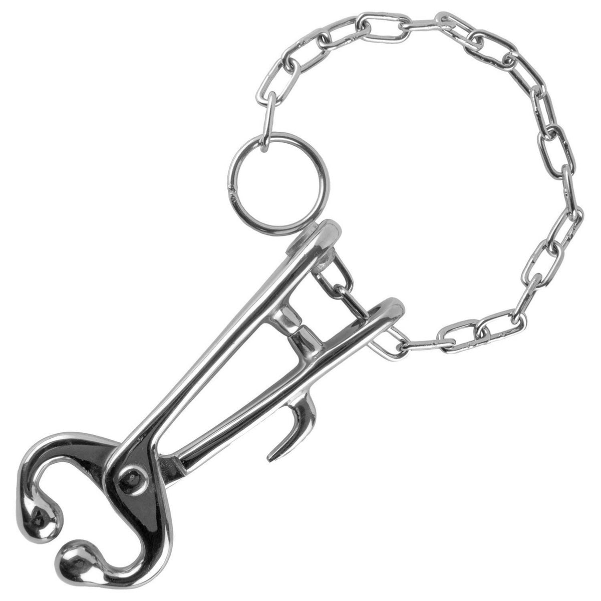 Bull Nose Lead w/ chain - www.farmandranchexperts.com